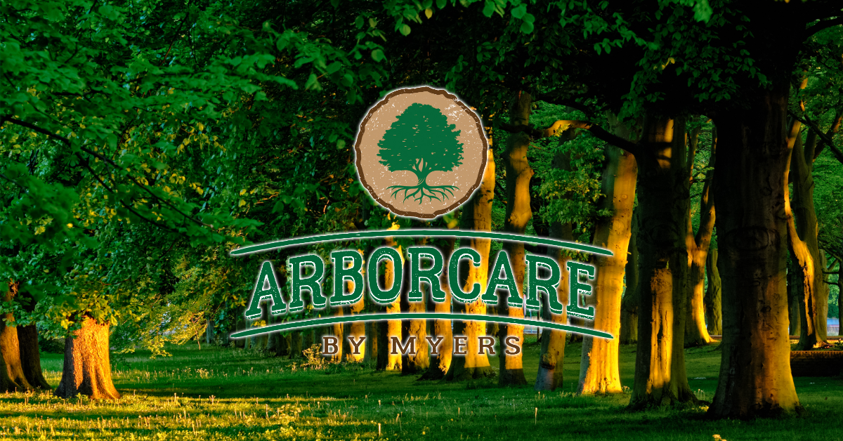 Arborcare By Myers